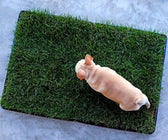 Reusable Infinity Tray – Pooch Patch