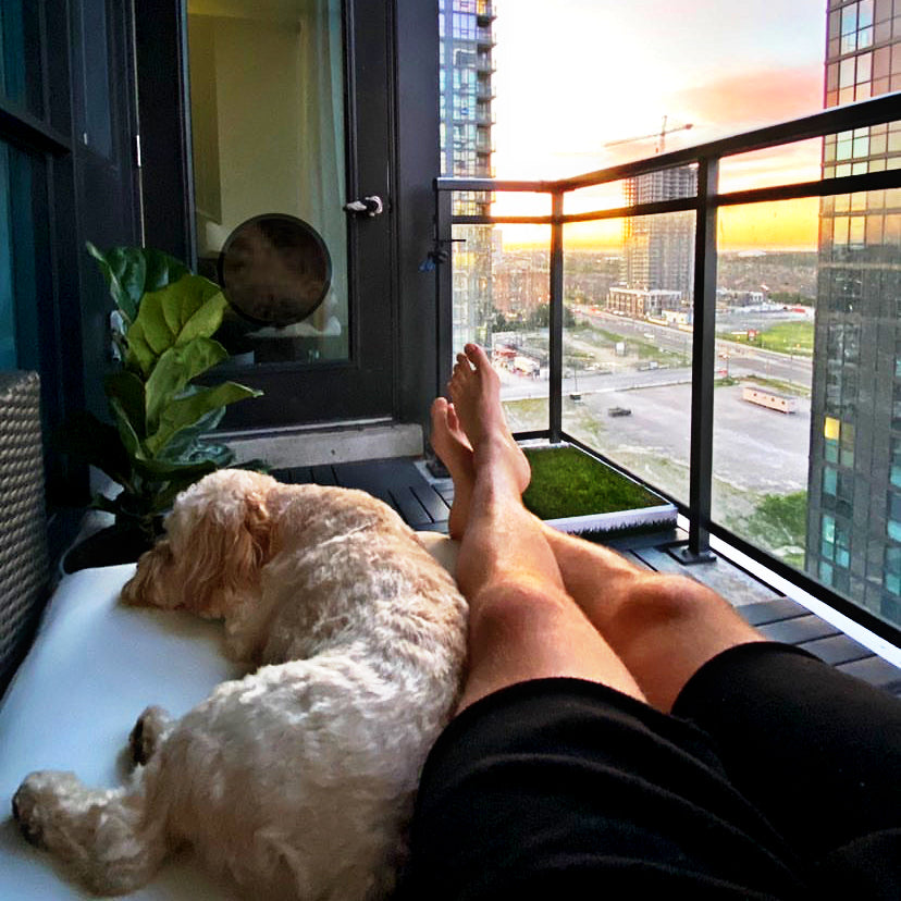 Pooch Patch Real Grass Dog Potty - Regular Size