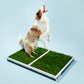 Pooch Patch XL Real Grass Dog Potty