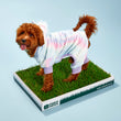 #1 Real Grass Dog Potty - 50% Off Sale – Pooch Patch