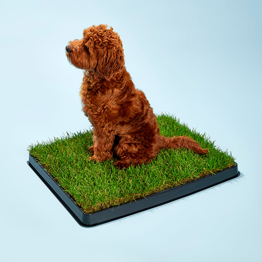 Reusable Infinity Tray – Pooch Patch